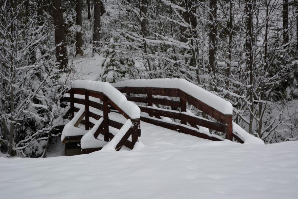CUTSFORTH PARK | Morrow County Oregon